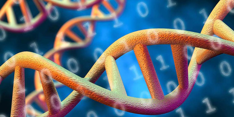 Máster en Bioinformática | Universidad Europea