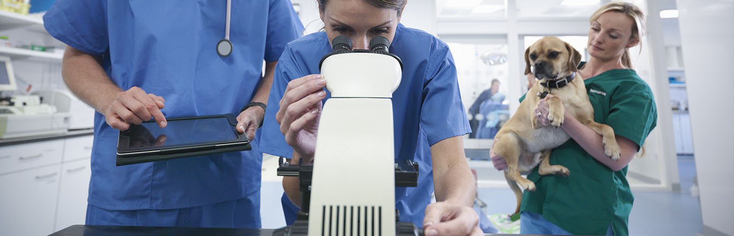 Centre for Applied Animal Research | UE