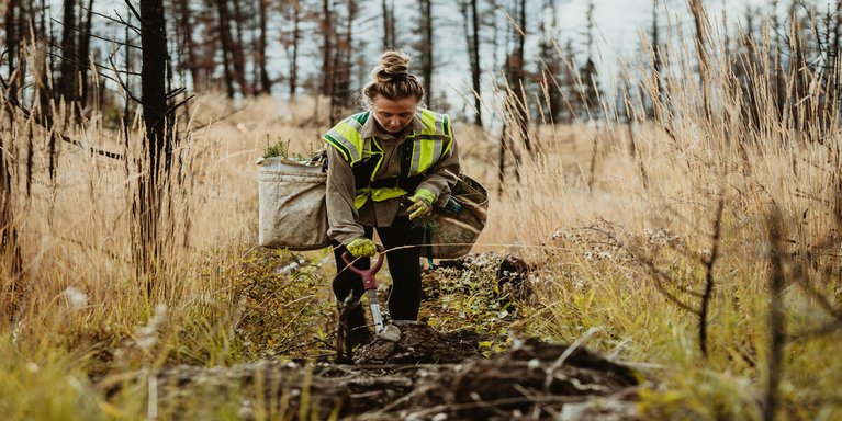 What does an environmentalist do | Univ. Europea Blog