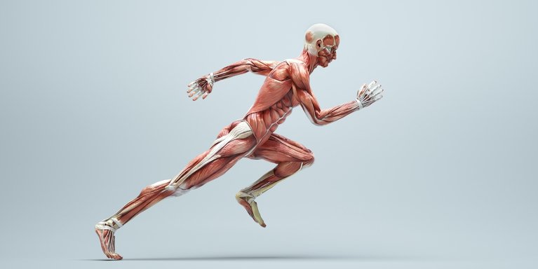 Hipertonía muscular | Blog UE