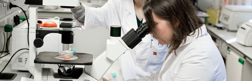 Biotechnology Laboratory | Universidad Europea de Madrid