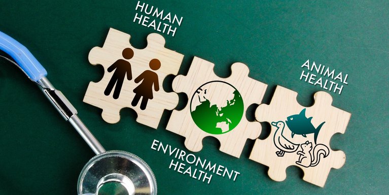 3 de noviembre: Día Mundial One Health | Blog UE