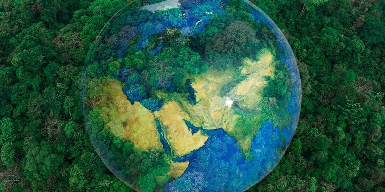 ¿Qué son los recursos naturales? Definición y tipos | Blog UE