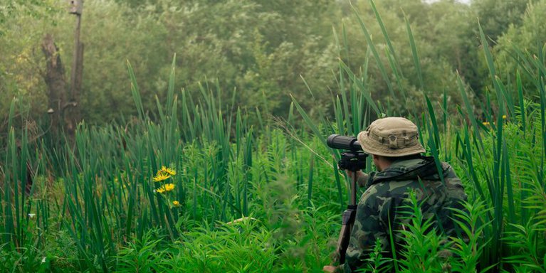 ¿Cómo ser zoólogo? | Blog UE