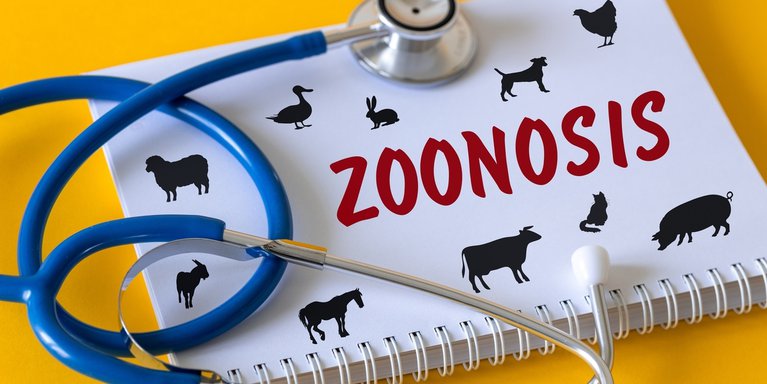 Tipos de zoonosis, importancia y prevención | Blog UE